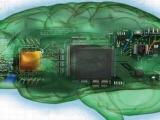 Computational Intelligence Assignment Point