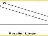 Parallel Lines Assignment Point