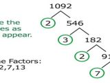 Prime Factorization Assignment Point