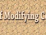 Self Modifying Code Assignment Point