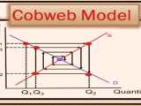 Cobweb Model Assignment Point