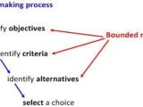 Bounded Rationality Concept Assignment Point