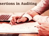 Assertions In Auditing Assignment Point