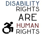Disability Rights Movement Assignment Point