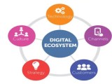 Digital Ecosystem Assignment Point