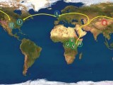 Human Migration Assignment Point