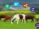 Precision Livestock Farming Assignment Point