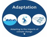 Climate Change Adaptation Assignment Point