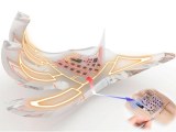 Electronic Skin Assignment Point