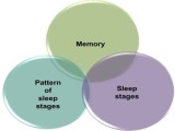 Memory Study Breathing During Sleep Influences Memory Processes