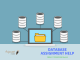 Database Management Assignment Help By Professionals