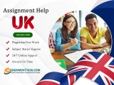 1 Assignment Help Uk Best Assignment Writing Company