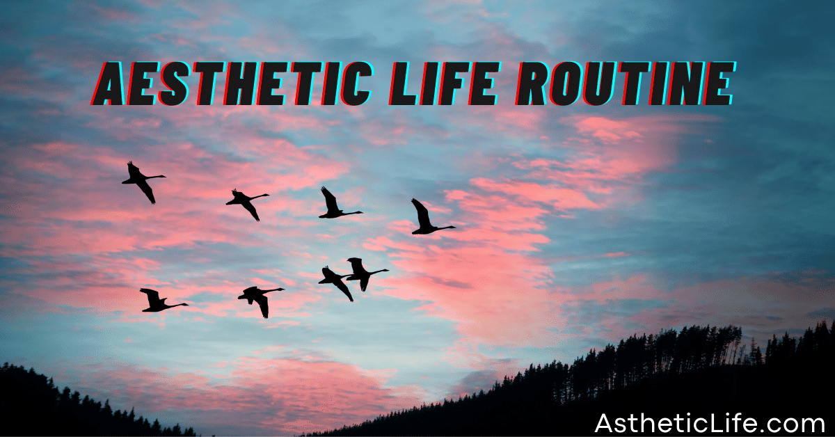 Aesthetic Productive Life Routine - The Aesthetic Life