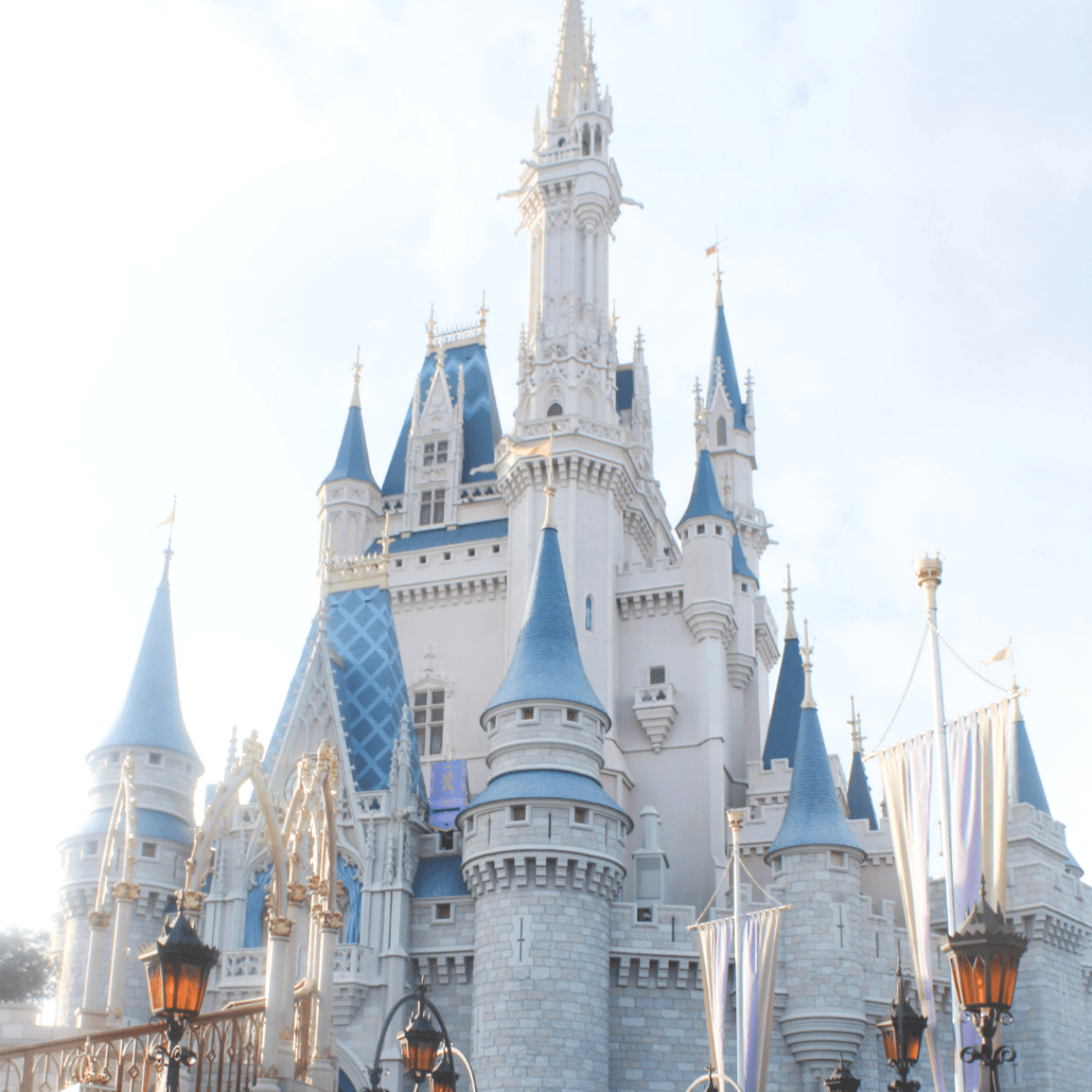 Disney World Feature – At Home With Zan