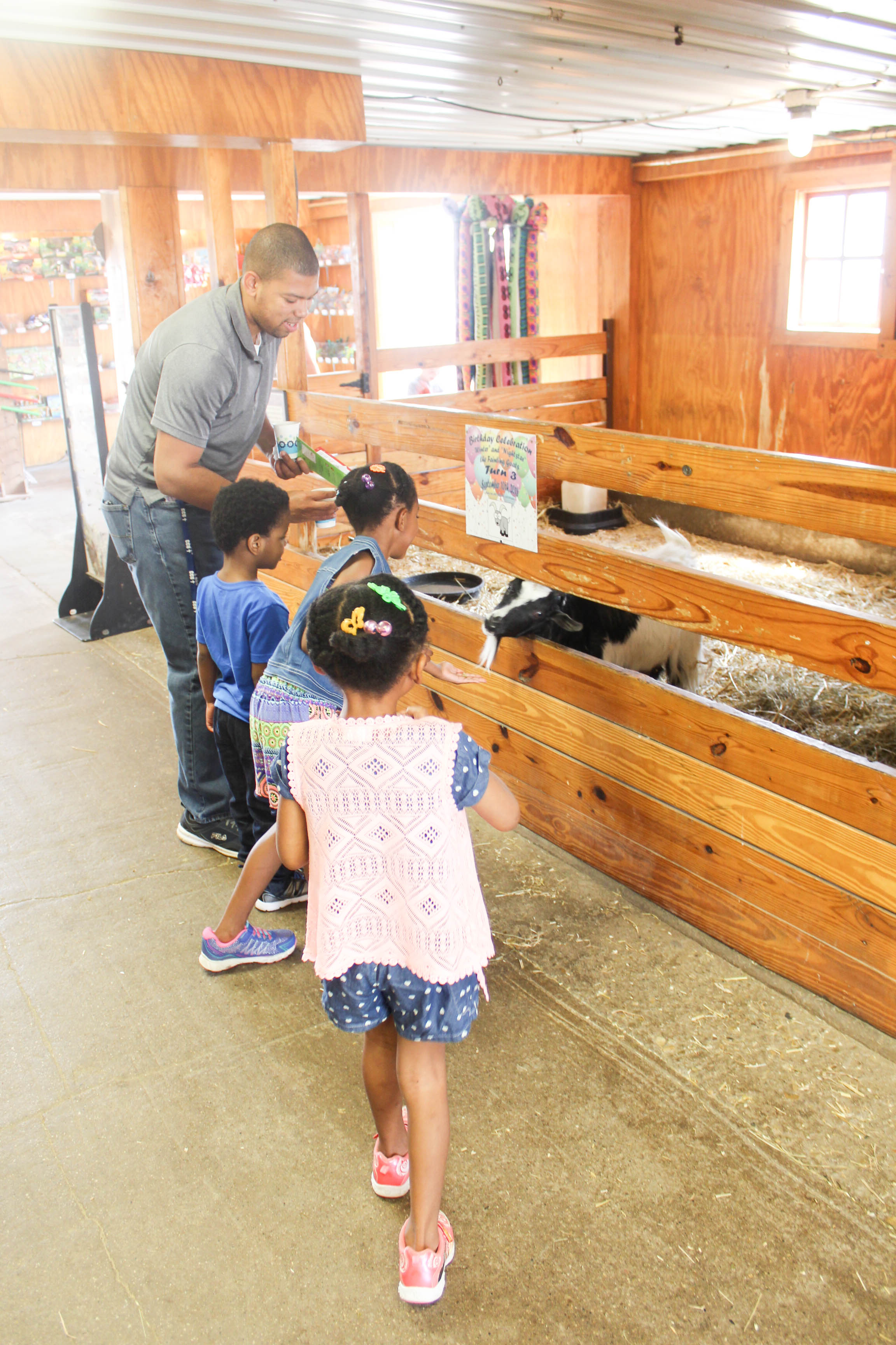 Field Trip - Animal Farms and Petting Zoos Never Get Old – At Home With Zan