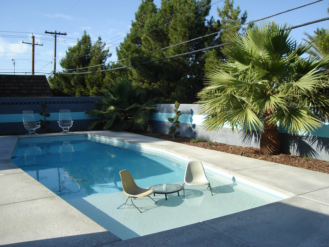 Caddyshack – Landscape Back