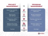 Driving Efficiency And Success Navigating The Divide Between Project