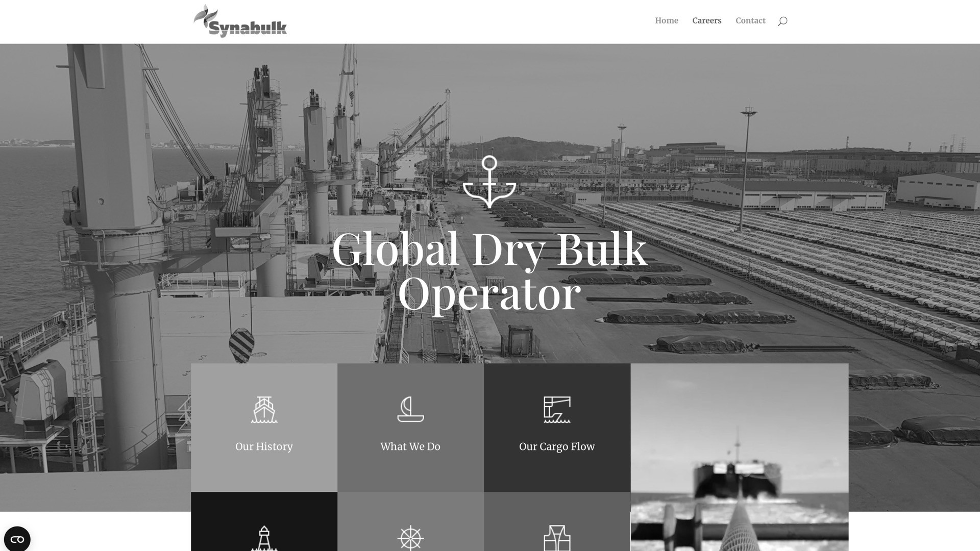Our new project: Synabulk (Global Dry Bulk Operator) - Aurumity