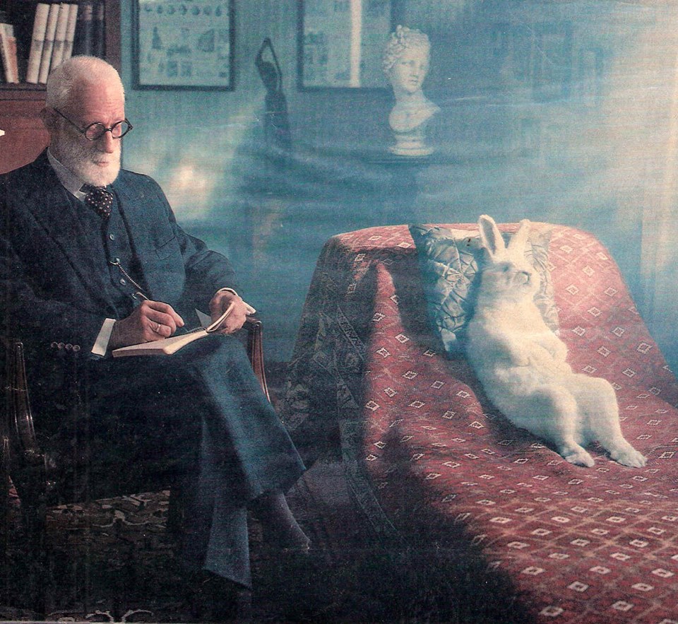Reading of Dr. Freud and the Rabbit - Secret Paths Editions