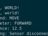 How To Process User Input And Strings In Python