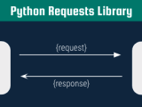 Requests Python
