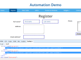Css Using Input Tag