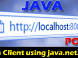 Posting Form Data With Java Client Using Java Net Url Example