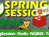 High Availability Clustering Http Sessions Using Spring Session