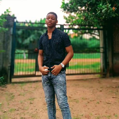 Ose Augustine Github