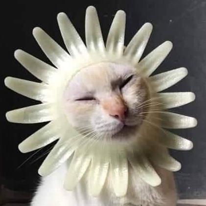 Lavinia Studio Github - Best Space Backgrounds in Retina