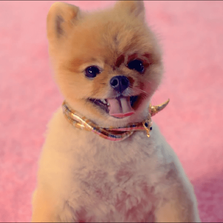 Marco20240618 Marco Github