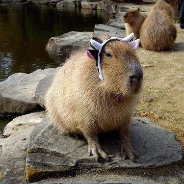 Electric Night Owl Github - Download High Quality Vintage Art | Retina