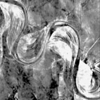 The Janus Project Github