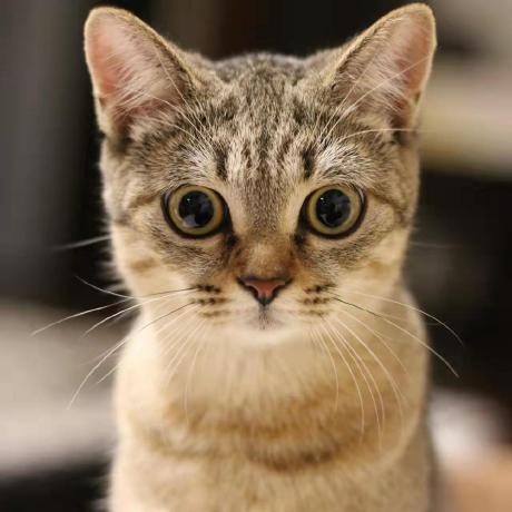 Andy201709 Andy Github