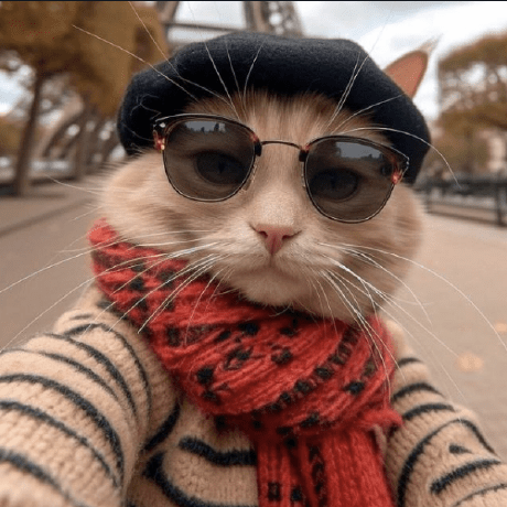 Stanleymwinde Stanley Github