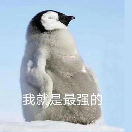 Gh Yinxiaomin Yin Xiaomin Github