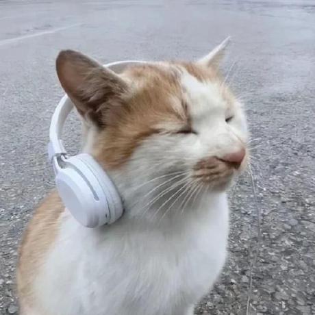 Bread Etc 面包etc Github