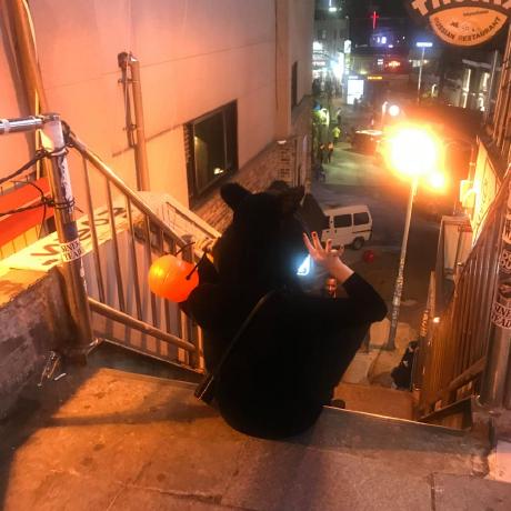 Fairygina Gina Github