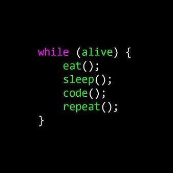 Pedro48838 Pedro Github