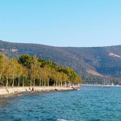 Seashore Software Github