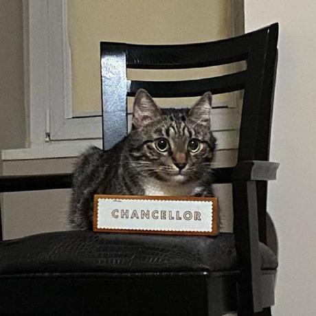 Gamedev House Github