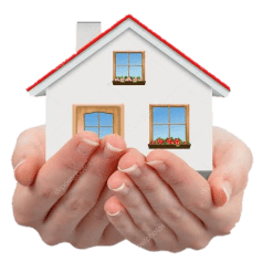 Sako Github - High Resolution Nature Illustrations for Desktop