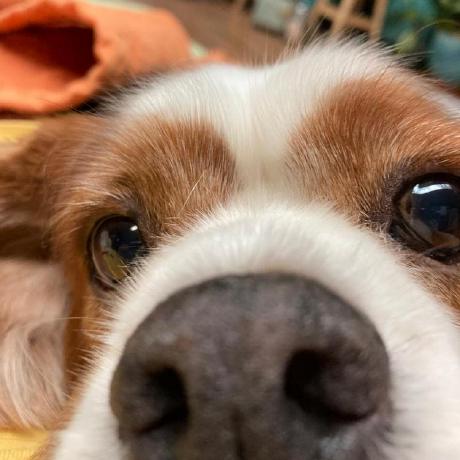 Yumikim381 Yumi Github