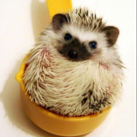 Github Malvin Maposa Class Example - Best Colorful Textures in 8K