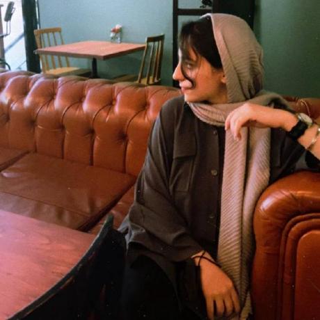 Meenashrz Mina Shirazi Github
