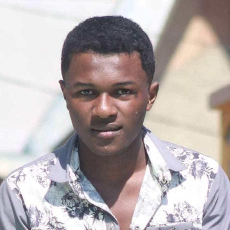 Andryfotsiny Jean Michel Andrianantenaina Github