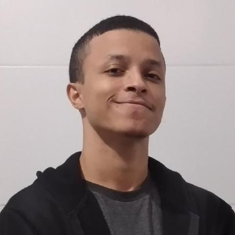 Vinilsilv Vinicius Silva Github