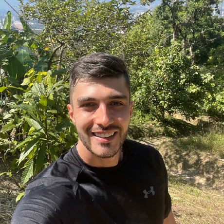 Akilla Dev Camilo G Mez Github - Best Light Patterns in Retina