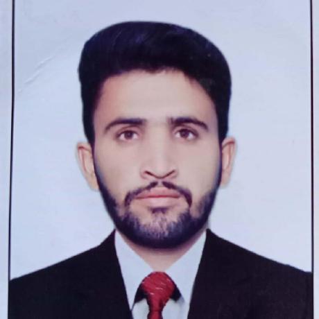 Nasirhussainp Github