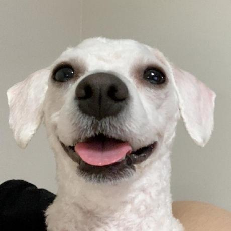 Github Sangeun100 Springboot - Premium HD Abstract Pictures | Free Download